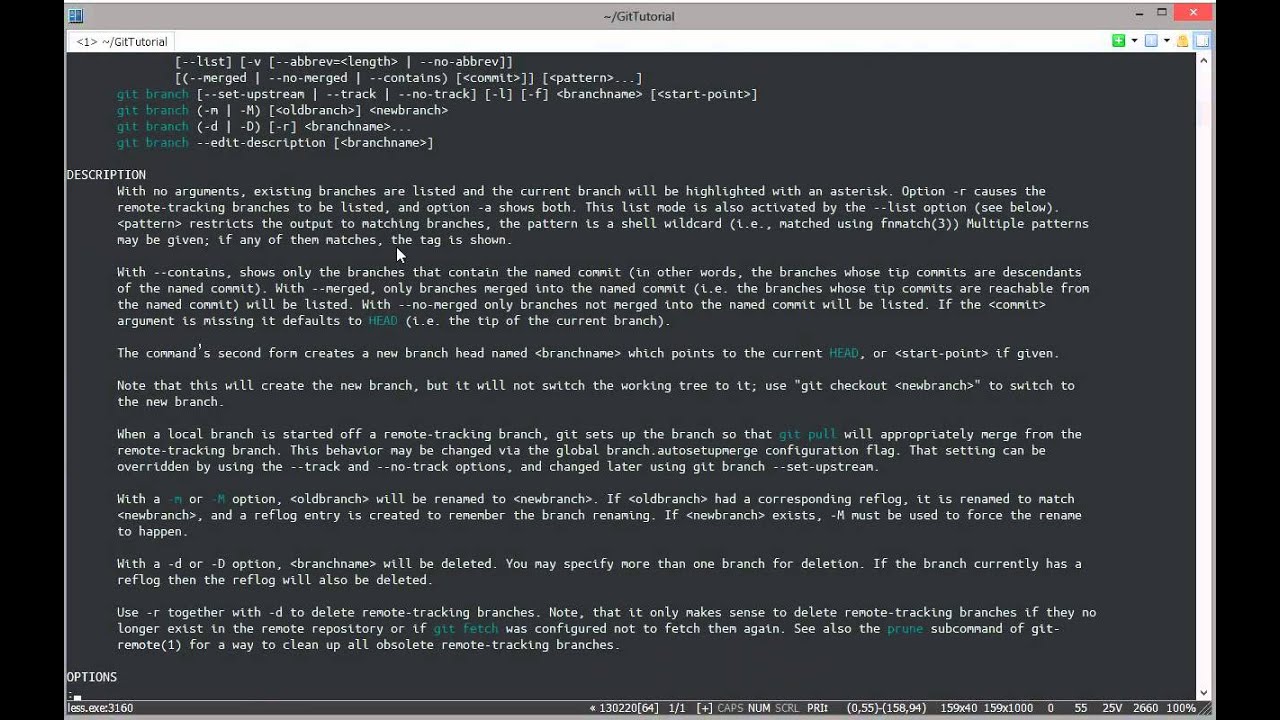 Michael's Git Tutorial - Branching 101