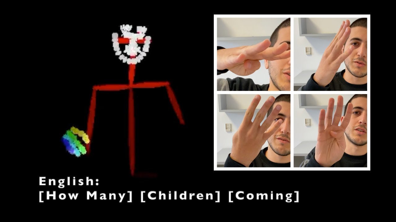 Current Problems in Sign Language Processing?