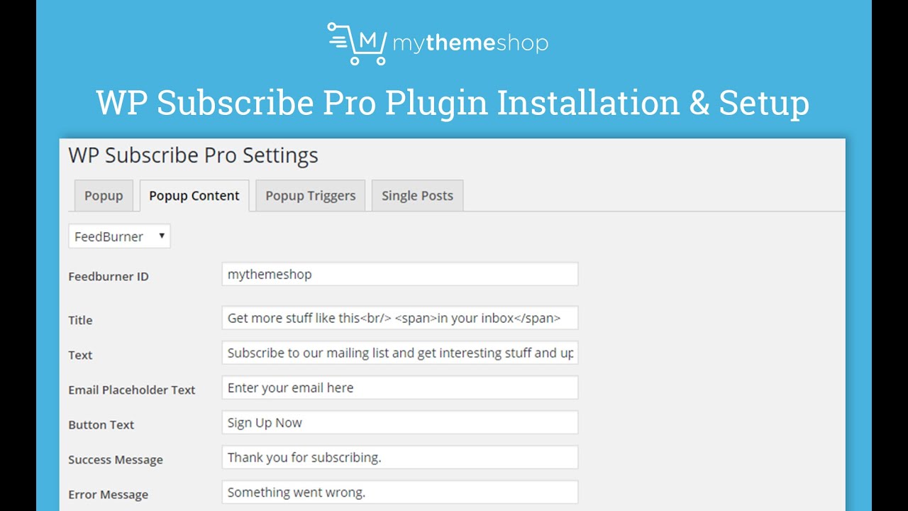 WP Subscribe Pro Plugin Installation & Setup