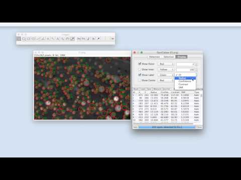 SpotCaliper Tutorial