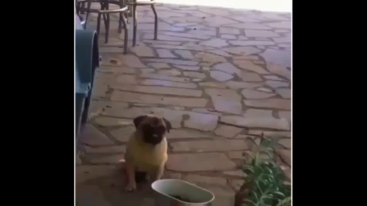 IHG!  Estas, HERMOSO! te Amo tE AMO!!