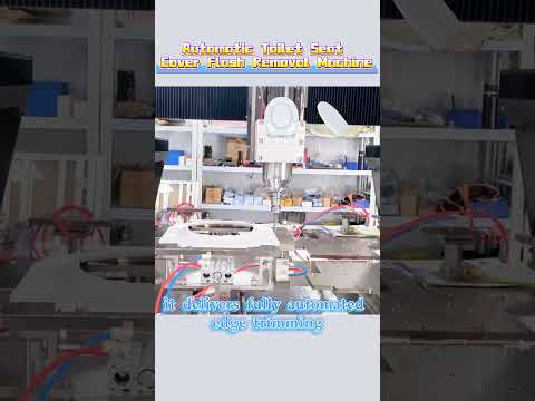Toilet Seat Flashing Removal: Advanced Automatic Assembly Equipment in Action!