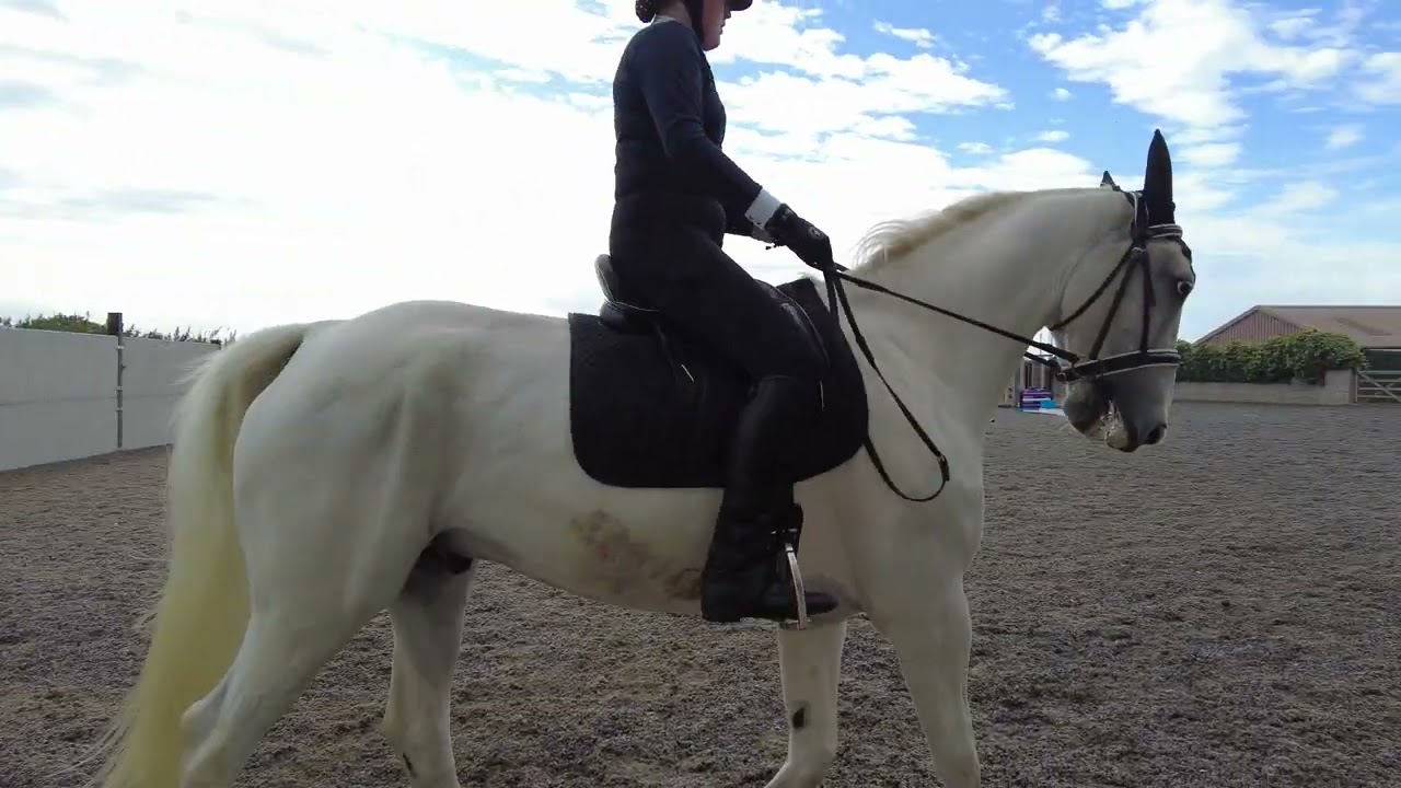 Intro 2 - Bomboy Grey & Tamara Greatrix (September 2024)