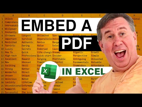 Excel - Embed a PDF in Excel - Episode 1466