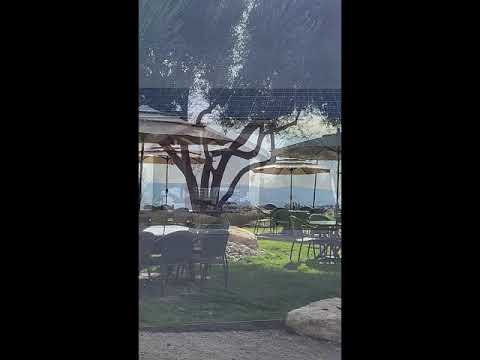 Calcareous Winery Paso Robles #shorts Wine Tasting | Calcareous Wines