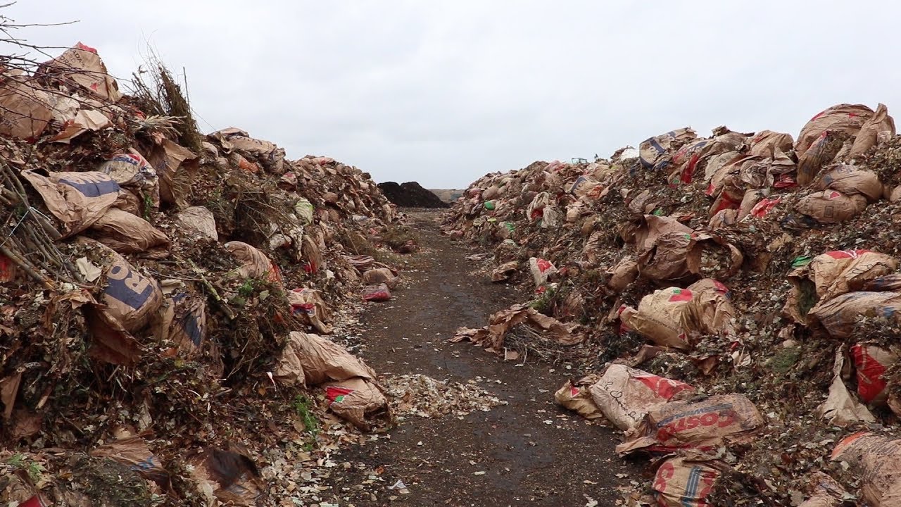 What happens after all the yard waste is collected?