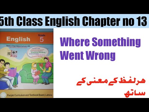 5th Class English Unit no 13| When Something went Wrong/Translation into urdu| PTB English.