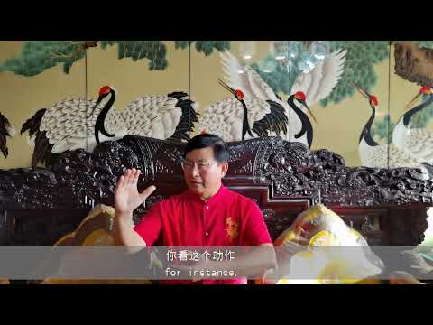 Cui Zhongsan Grandmaster of Yang Style Taijiquan