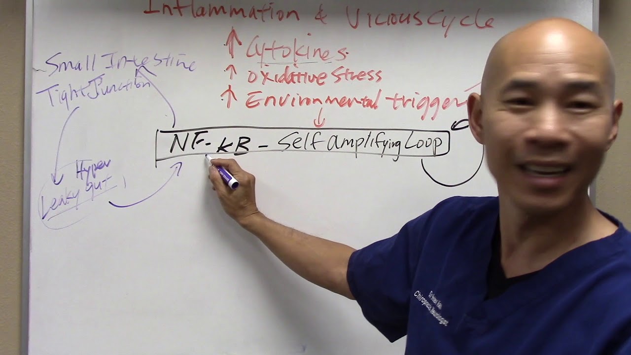 Inflammation vicious cycle and how to break it naturally