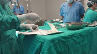 Synthetic 6+ integra wound The best - Bút Chì Xanh