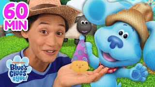 Blue Clues Farm Watch HD Mp4 Video Download Free