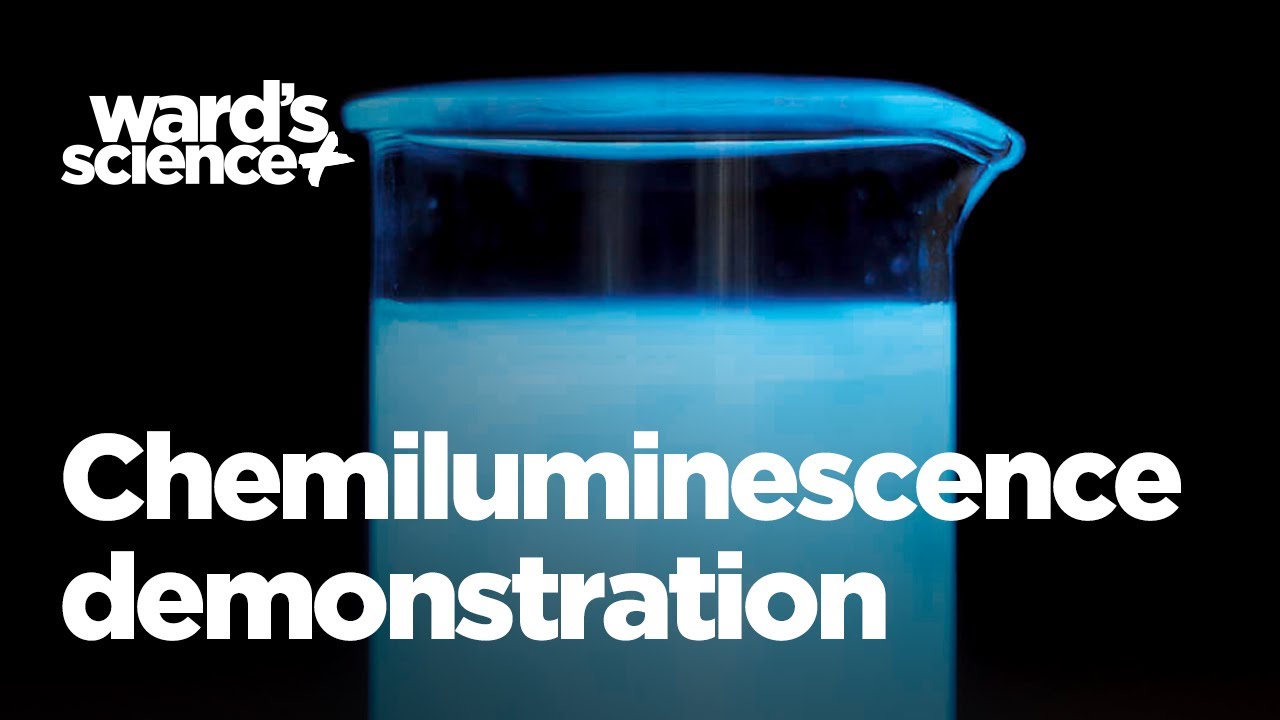 Ward's Chemiluminescence Demonstration