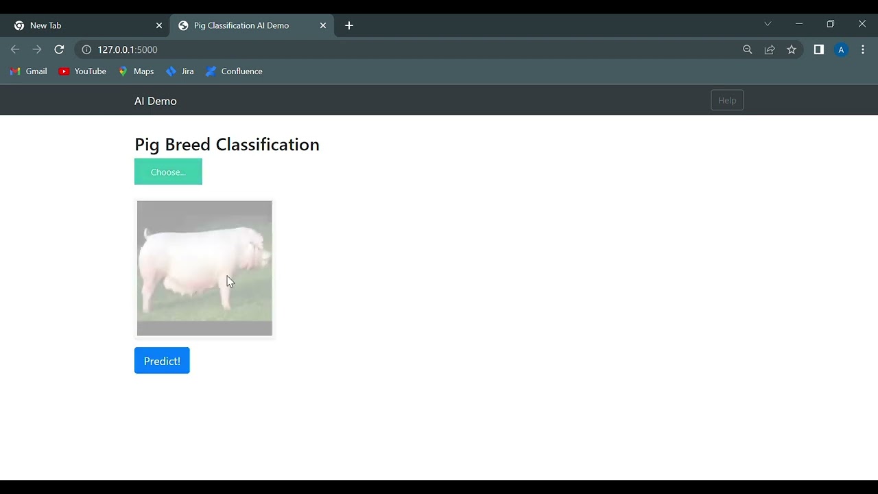 Pig Image Classfication