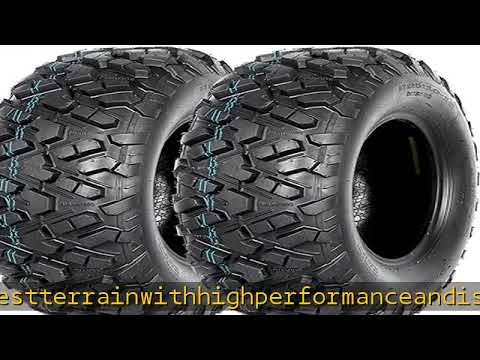 WEIZE 25x10-12 ATV Tires, 25 x10x12 Rear All Terrain Tire, 6PR, Mud, Gravel, Sand, Rocky and UTV Ti