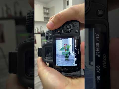 Nikon D3100 auto focus test (liveview mode)