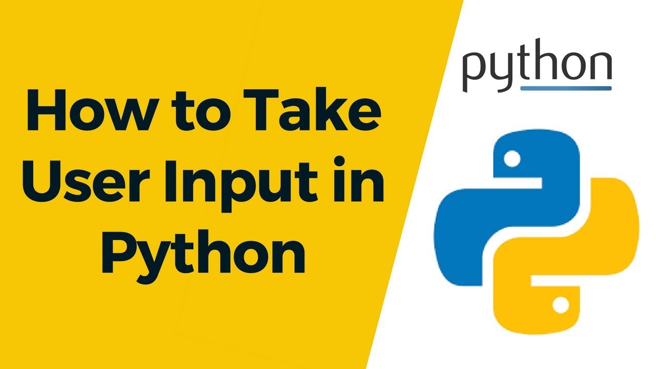 Python Tutorial 6 - How to Take User Input in Python