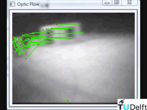 DelFly2 And DelFly Micro | Hackaday
