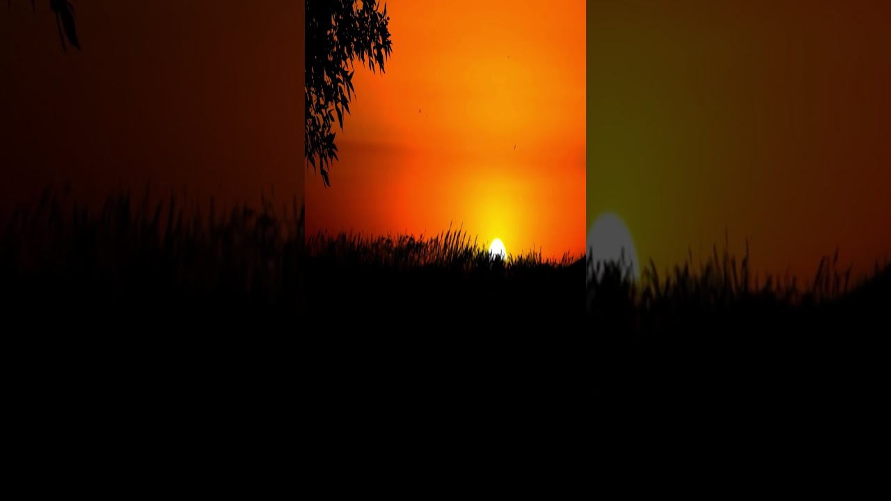Dusk In A Breezy Field | A Breezy Short