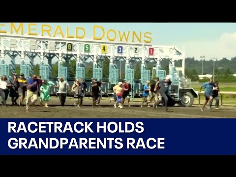 Grandparents Race Each Other at Horse Racing Track