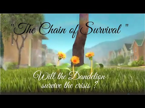 Short Story: " The Life of Dandelion "