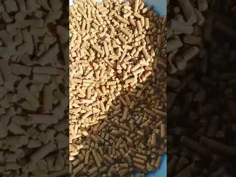 Cattle Feed - Pashu Aahar Latest Price, Manufacturers & Suppliers