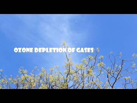 Ozone Depletion Potential of Gases
