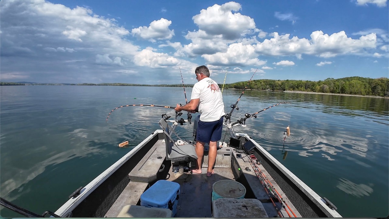 The Rise And Fall Of The You Tube Catfisherman