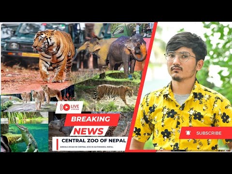 Central Zoo Jawalakhel Kathmandu Nepal | ZOO FULL VIDEO IN NEPAL