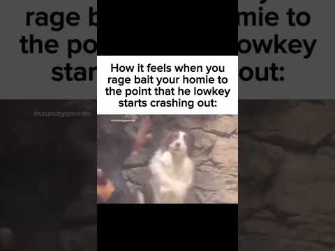 rage bait