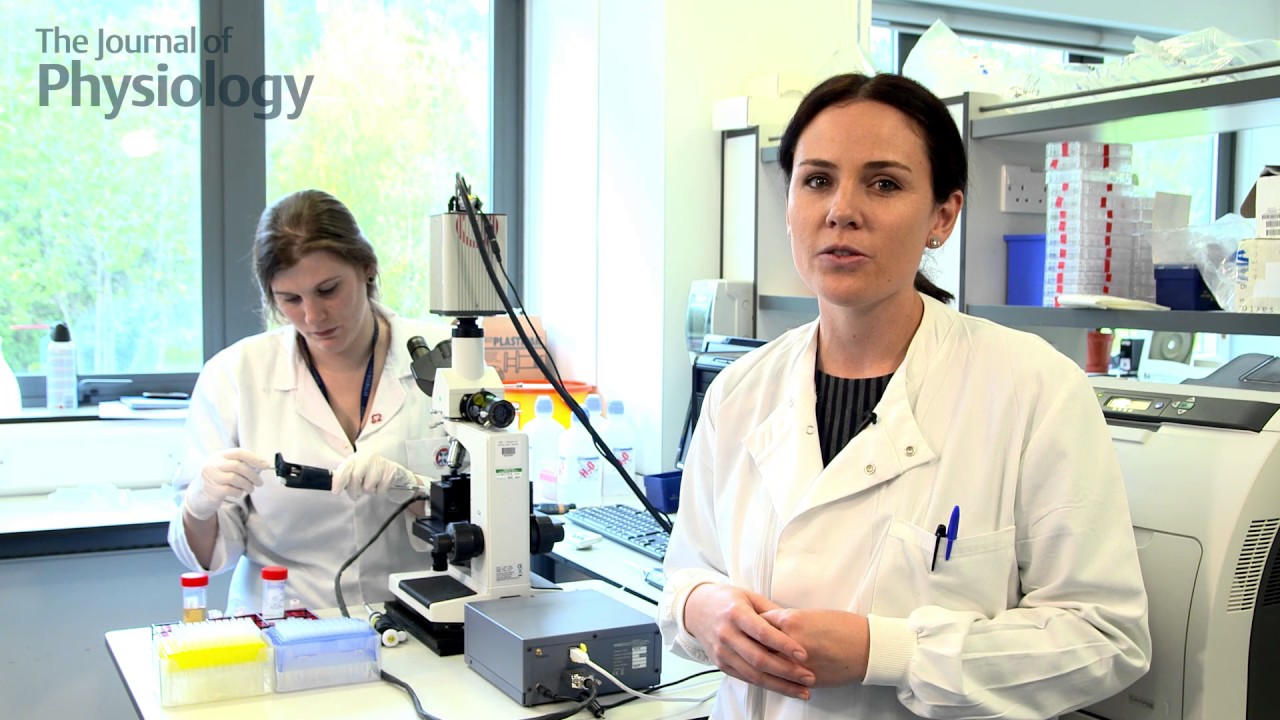 The Quantification of Human Urinary Exosomes