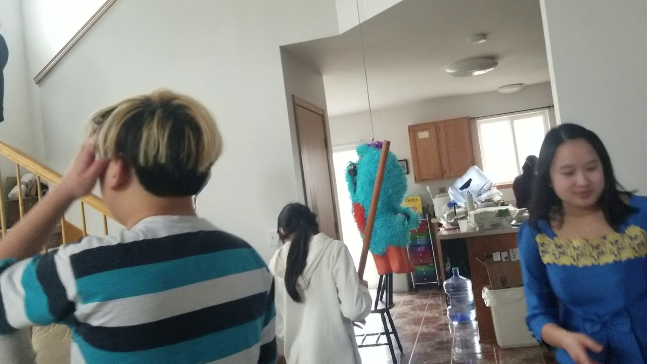 Nova's 3rd Birthday - Pinata