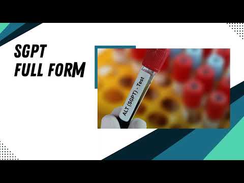 sgpt full form