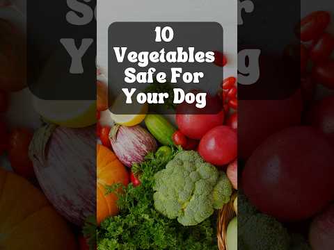 10 Vegetables Safe For Your Dog |Vegetables For Dog #shortsfeed #ytshorts #dogs #viral #shortvideo