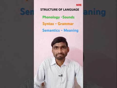 Structure of Language NRE