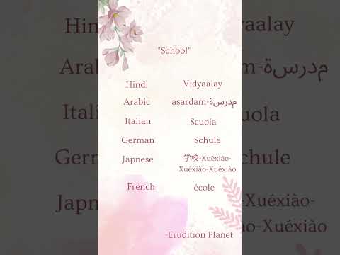 Word Meaning in Different Languages #shorts #youtybeshorts #english #vocabulary