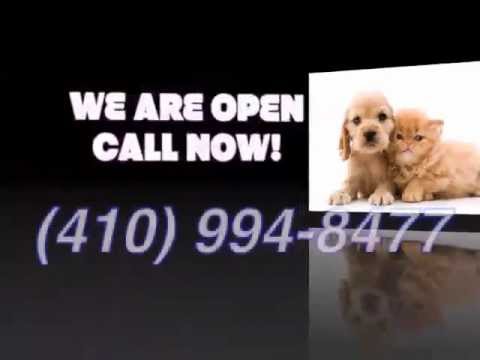 Emergency Vet Baltimore MD (410) 994-8477 - 24 hr Emergency Vet Clinic in Baltimore
