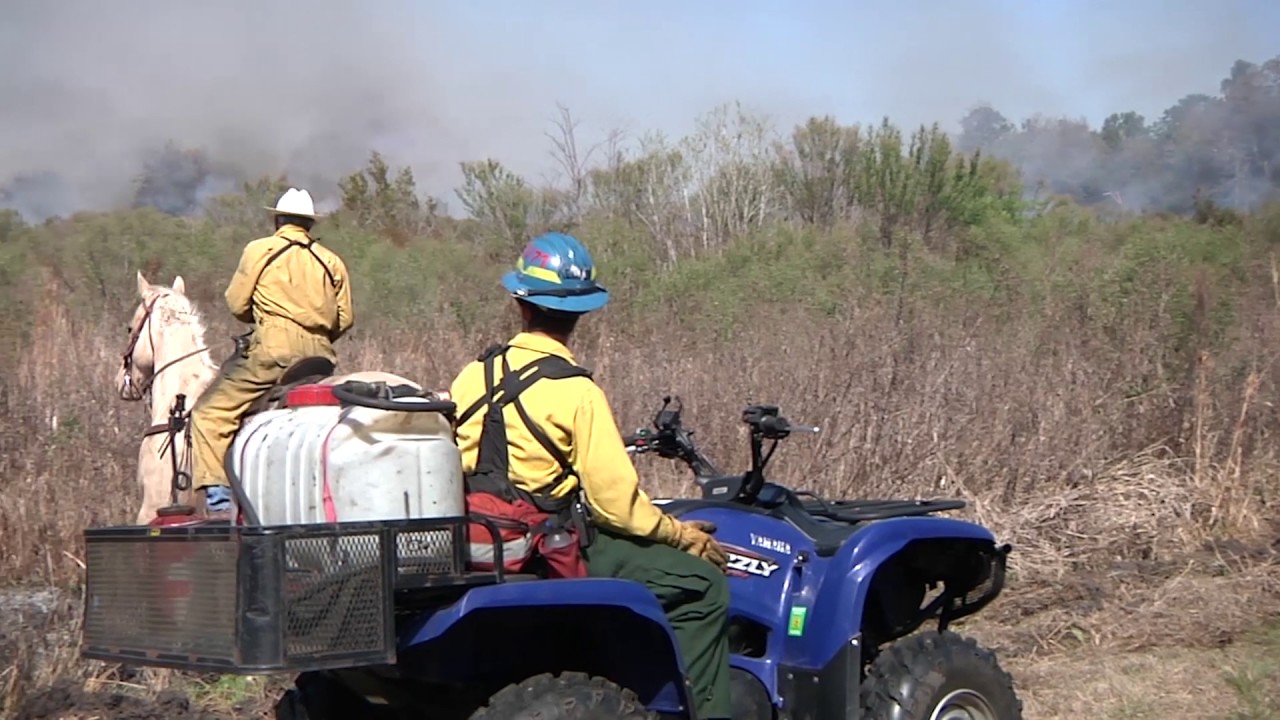 Prescribed fire: A versatile land management tool