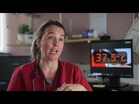 Too high or too low - what is classed a high temperature or low temperature