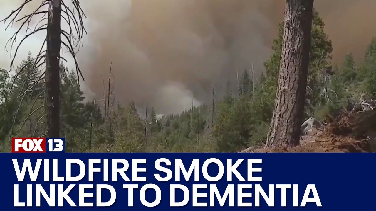 UW study links wildfire smoke with increase dementia risk | FOX 13 Seattle