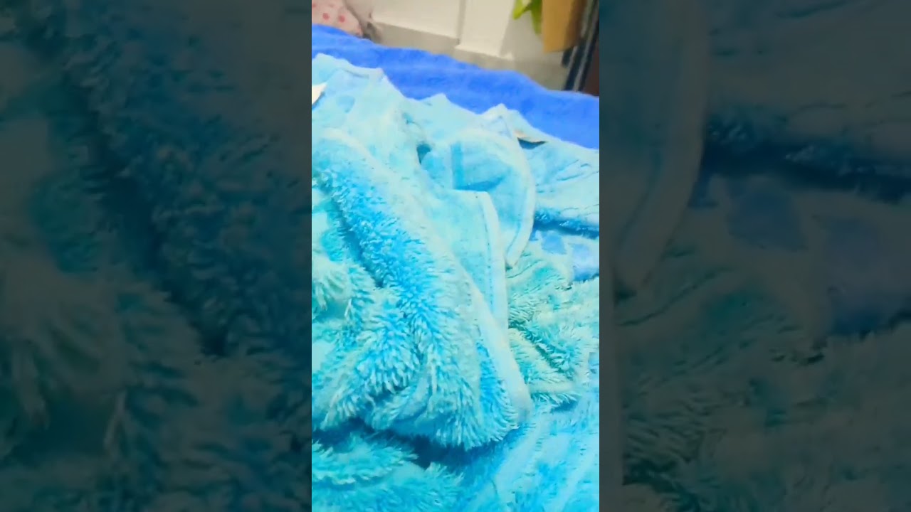 #funny #cat #comedy #animals     v. nb si jjoop hhhhhhjjjjjjjjjjjjjj