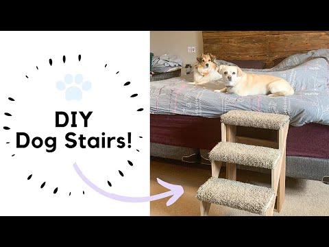 How To Build Dog Stairs! | Dog Furniture Stairs