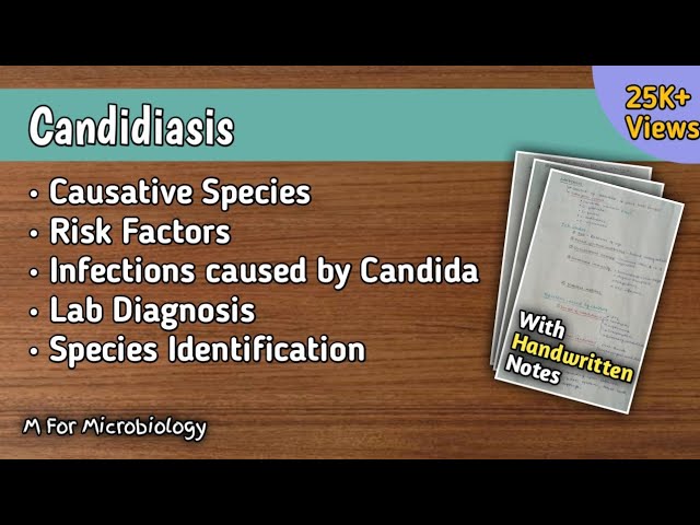 Understanding Candidiasis: Causes, Risk Factors, and Diagnosis | Galaxy.ai