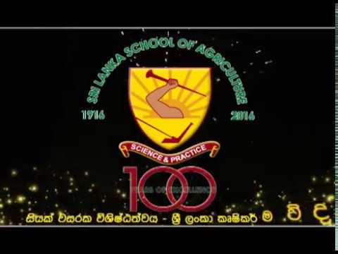 SAPSA 100 Years Logo