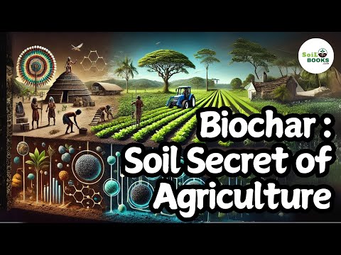 Biochar : The Ancient Soil Secret Revolutionizing Modern Agriculture