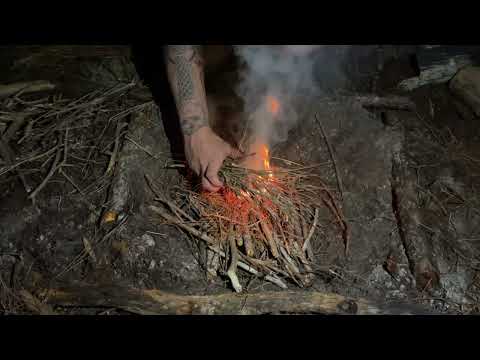 APALACHICOLA NATIONAL FOREST | OVERNIGHT CAMP | ASMR