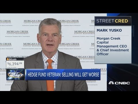 Stock market carnage will get worse: Morgan Creek Capital CEO