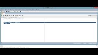 ORA-06502: PL/SQL: error numérico o de valor: buffer de cadena de caracteres demasiado pequeño