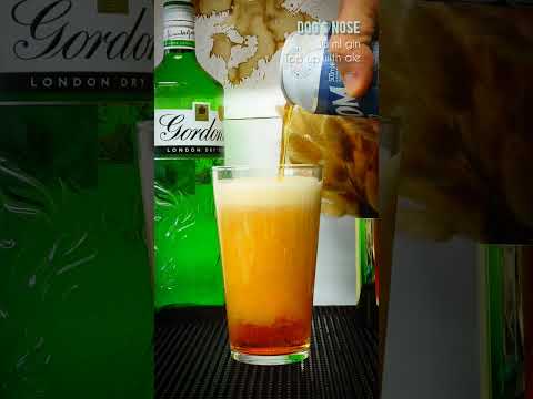 How to make a Dog's Nose cocktail at home (recipe)