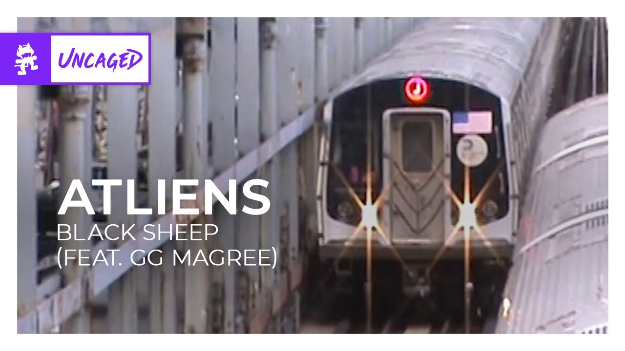 BLACK SHEEP by Gg Magree from Australia | Popnable