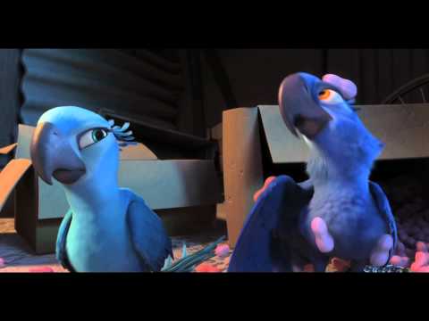 Rio (Featurette 'Feel the Rhythm') Video